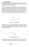Ultimate Frisbee Rules & Activity Ideas - PE Scholar