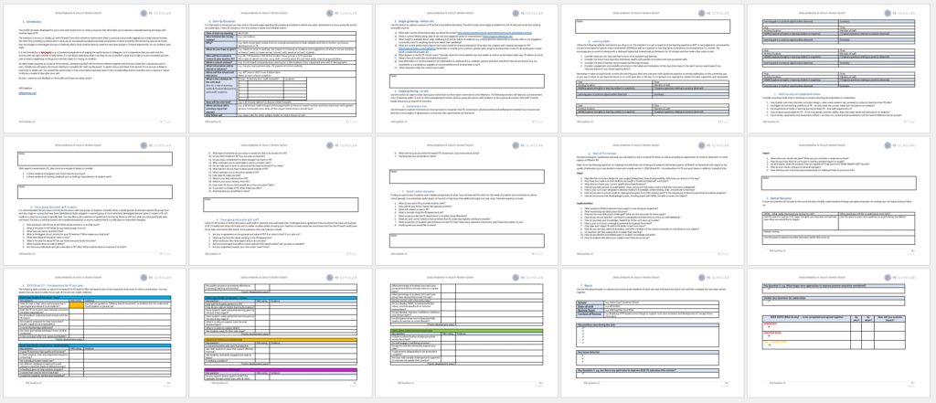 Developmental Faculty Review Toolkit - PE Scholar