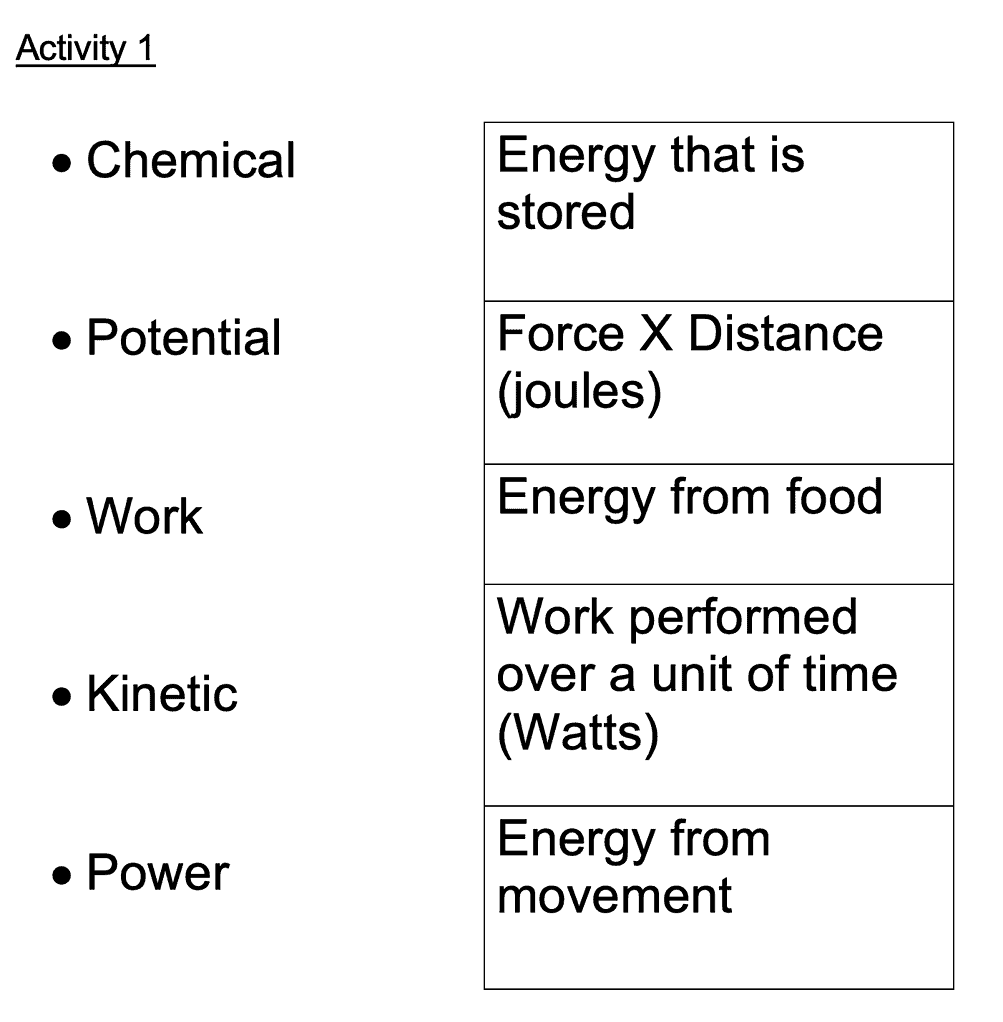 A Level Energy Systems Worksheet - PE Scholar