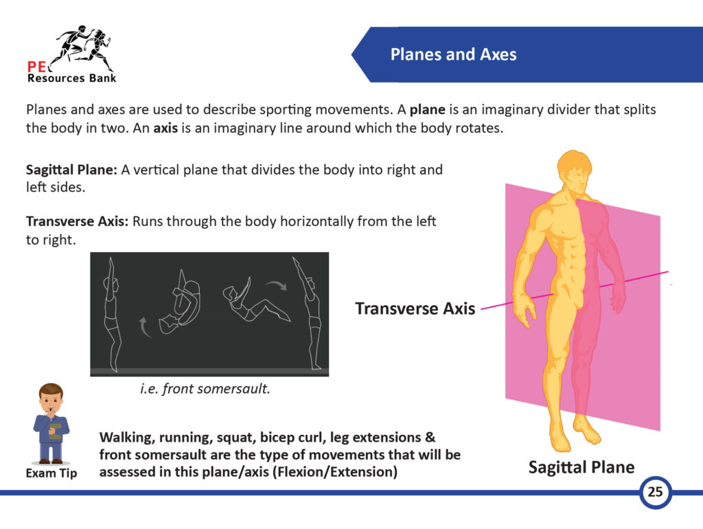 GCSE (9-1) PE Revision Flash Cards – AQA - PE Scholar