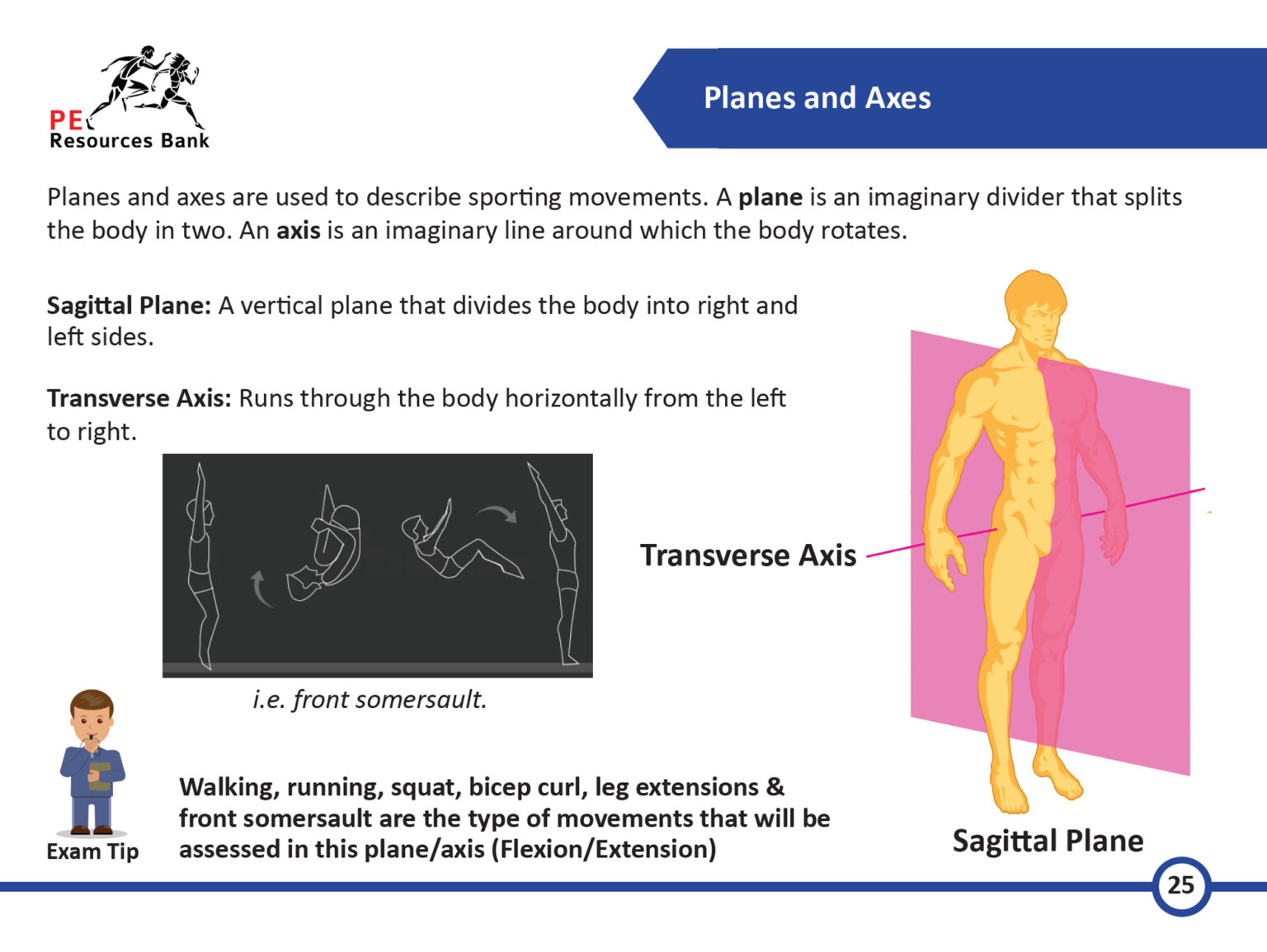 GCSE (9-1) PE Revision Flash Cards – AQA - PE Scholar