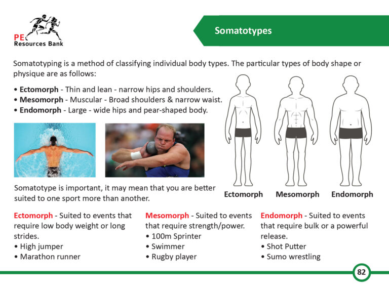 GCSE (9-1) PE Revision Flash Cards – AQA - PE Scholar